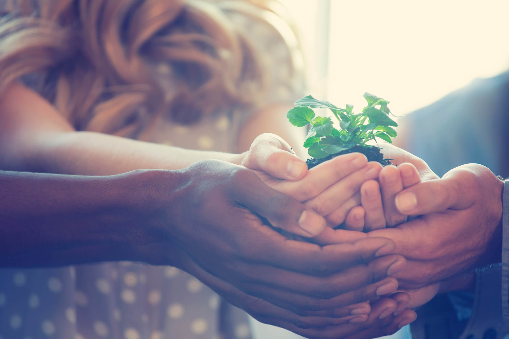 Community Foundation for Livingston County